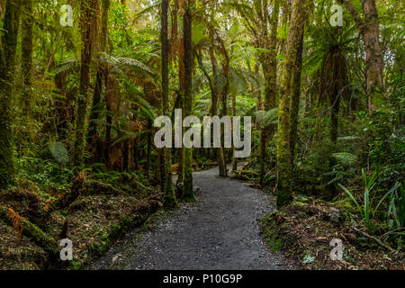 Lake Matheson. Locate near the Fox Glacier in West Coast of South ...