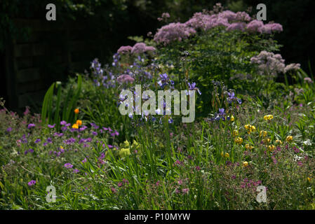 Scottish country garden in Spring Stock Photo - Alamy