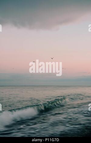 Processed with VSCO with c3 preset Stock Photo - Alamy