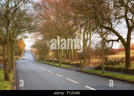 Rural Lancashire Landscape Stock Photo - Alamy