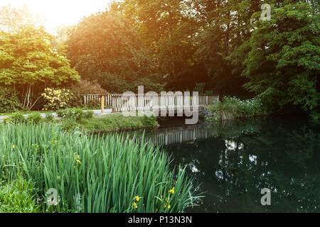 Botanical Garden Le Vallon du Stang Alar Brest France 27 may 2018 - a ...