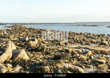 Rocks at Whitburn Beach, Whitburn Stock Photo - Alamy