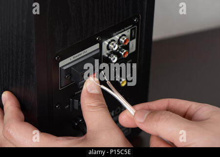 closeup of speaker output terminal on the back of bookshelf speaker ...
