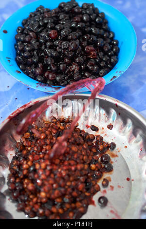 Pitted black bitter wild cherries ready to be turned into jam or ...