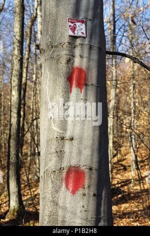 Blaze on tree marking trail along Echo Lakes near the boundary of the ...