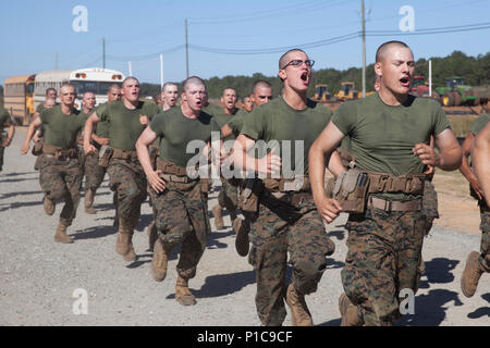 Marine Corps Logistics Base Albany Commanding Officer Col. Alphonso ...