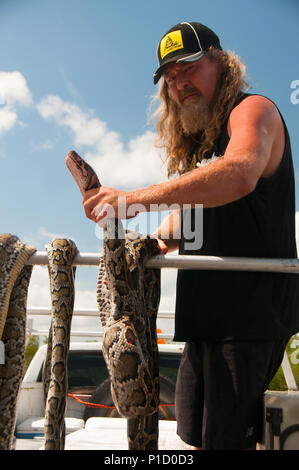 Dustin "Wildman" Crum is one of 25 burmese python hunters licensed by ...
