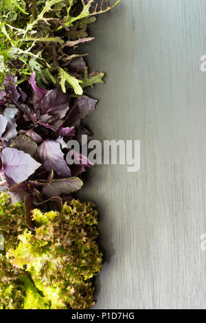 Arugula on slate board, copy space. Bunch of fresh rucola on natural ...