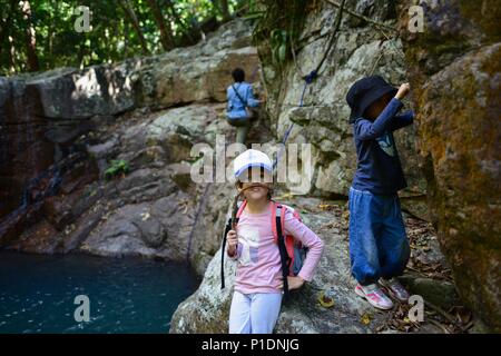 The beautiful isolated and untouched rope falls, Paluma Range National ...