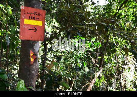 Loop falls sign on the way to Mount Halifax, Paluma Range National Park ...