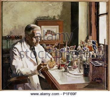 Alexander Fleming, Scottish Biologist Stock Photo: 135043090 - Alamy
