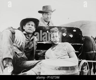 Original Film Title: FORTY GUNS. English Title: FORTY GUNS. Film ...