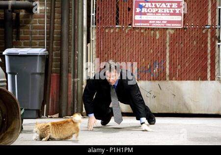 ALLEN,CAT, THE SHAGGY DOG, 2006 Stock Photo - Alamy