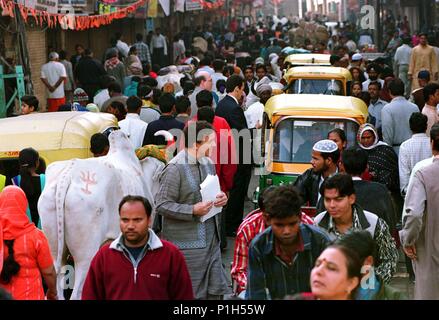 Original Film Title: LOOKING FOR COMEDY IN THE MUSLIM WORLD. English ...