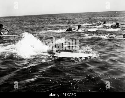 Original Film Title: GIDGET. English Title: GIDGET. Film Director: PAUL ...