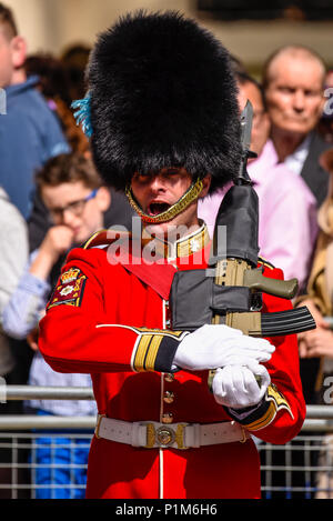 Trooping the Colour 2018 officer shouting orders. British Army Irish ...