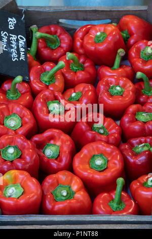 This is a display of Red Peppers imported from Mexico in a Pittsburgh ...