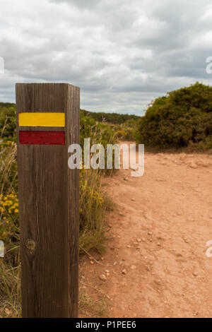 Yellow outdoor signpost in different directions with empty space for ...