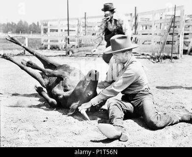 Original Film Title: BRONCO BUSTER. English Title: BRONCO BUSTER. Film ...