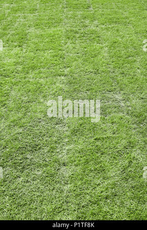A vertical background of grass ground Stock Photo - Alamy