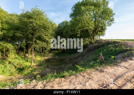 Hawthorn Ridge crater, Somme, France Stock Photo - Alamy