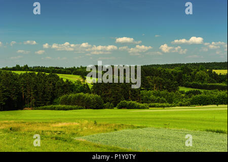 The landscape of Roztocze hills and forests is the most beautiful place ...