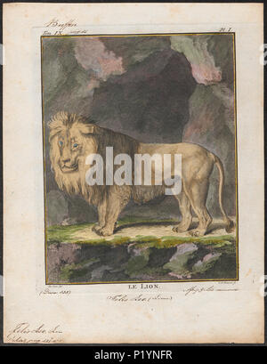 . Felis leo . between 1700 and 1880 123 Felis leo - 1700-1880 - Print ...