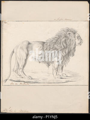 . Felis leo . between 1818 and 1842 123 Felis leo - 1818-1842 - Print ...