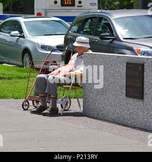 Chicago Pile-3 Site A Stock Photo - Alamy