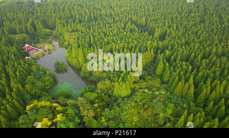Shanghai, Shanghai, China. 13th June, 2018. Shanghai, CHINA-13th June ...