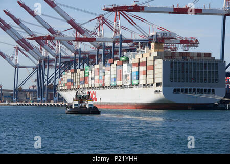 Giant Container Ship, OOCL Long Beach, Loading And Unloading On Pier E ...