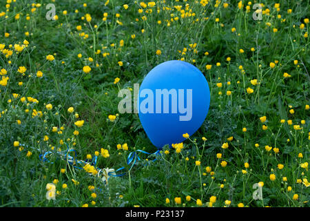 Balloon litter. A balloon has landed in a field. Released balloons can ...
