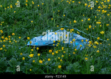 Balloon litter. A balloon has landed in a field. Released balloons can ...