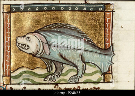 Canis marinus (seal) - Der naturen bloeme - Jacob van Maerlant - KB KA ...