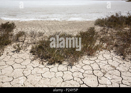 Salt pans on the dry Lleida plains in NE Spain Stock Photo - Alamy