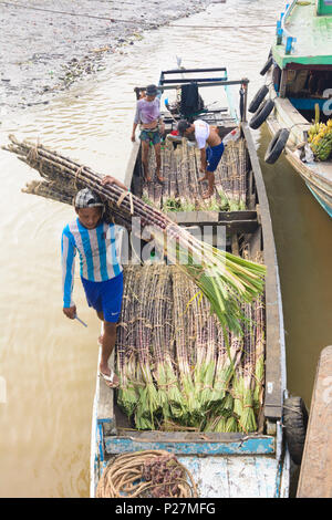 Yangon (Rangoon): transport of sugar cane from ship to market, man ...