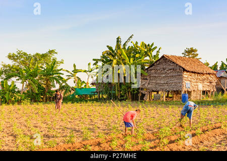 Hpa-An: farm house of bamboo and dry banana-leaf thatch, girl girls ...
