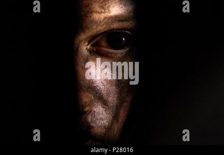 Original Film Title: SHROOMS. English Title: SHROOMS. Film Director ...