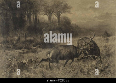 Franz von Pausinger Zwei kämpfende Hirsche in Waldlichtung 1894 Stock ...