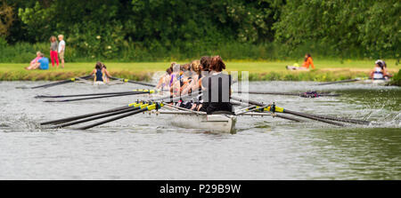 Cambridge Bumps June 2018 Stock Photo - Alamy