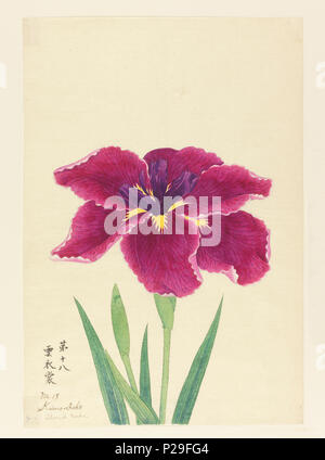 . English: Print, Cloud Robe (Kumo-Isho), No. 18, ca. 1910 . English: A ...