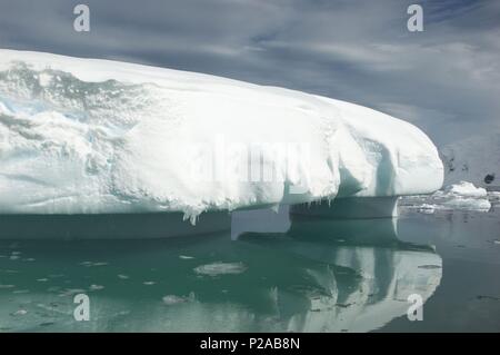 Original Film Title: EARTH. English Title: EARTH. Film Director ...