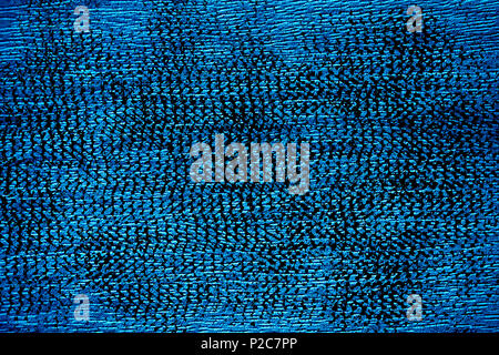 Ultra marina grunge Wooden surface for design mock-up Cracked texture ...