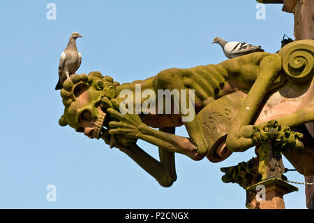 gargoyles, Freiburger Muenster, historic center, Freiburg im Breisgau ...