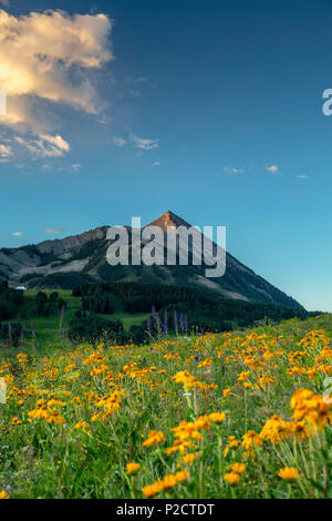 Mount Crested Butte near Gunnison, Colorado village in summer with ...