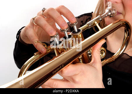 Cornet being held in playing position Stock Photo - Alamy