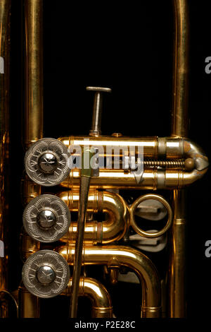 Rotary - valved trumpet by Lechner Stock Photo: 83319487 - Alamy