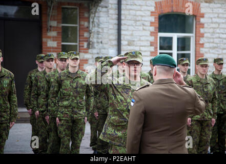 Lt. Col. René Innos, battalion commander of Staabi- ja sidepataljon ...
