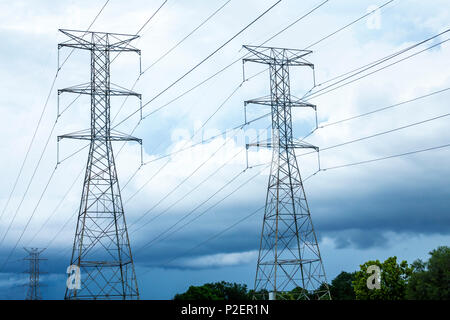 Electric power lines in the Florida Everglades Stock Photo - Alamy