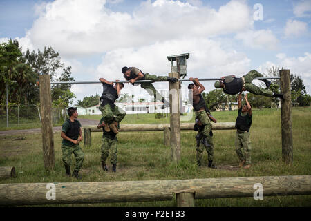 Soldiers with the Belize Defence Force climb a double bar obstacle ...